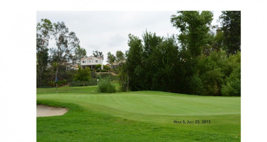 0025-1140x610 - California Oaks